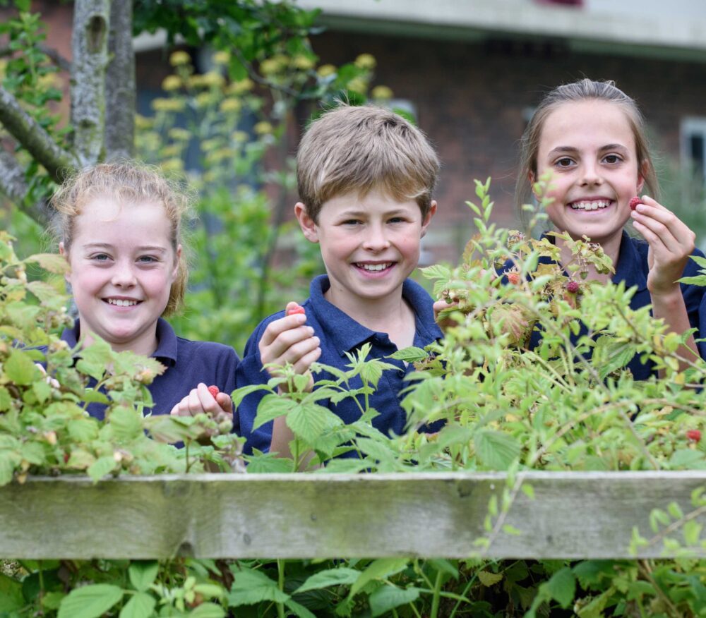 Enquire - The Elms School